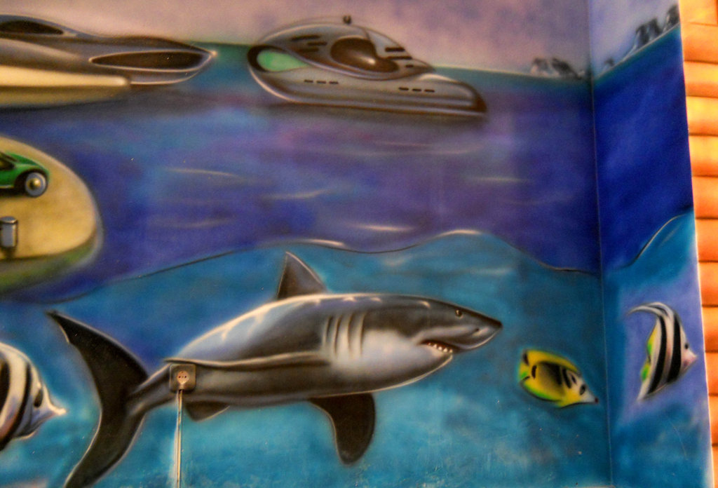 Shark Mural Melbourne Fl at Kathaleen Velasquez blog